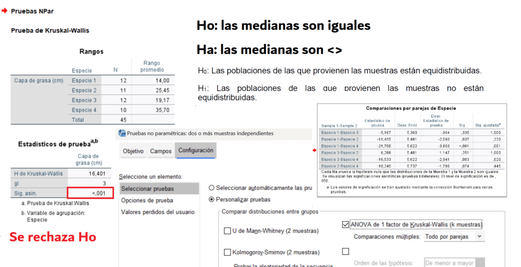 Tutorial del paquete estadístico SPSS 29.